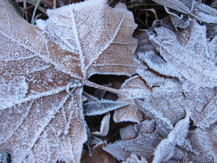 La primavera comenzará con frío, nieve y heladas fuertes en zonas de ...