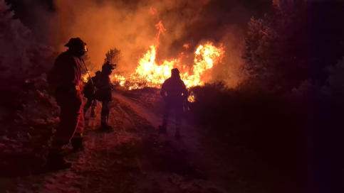 Las cenizas del incendio del Pico del Lobo están "contaminando" el río ...